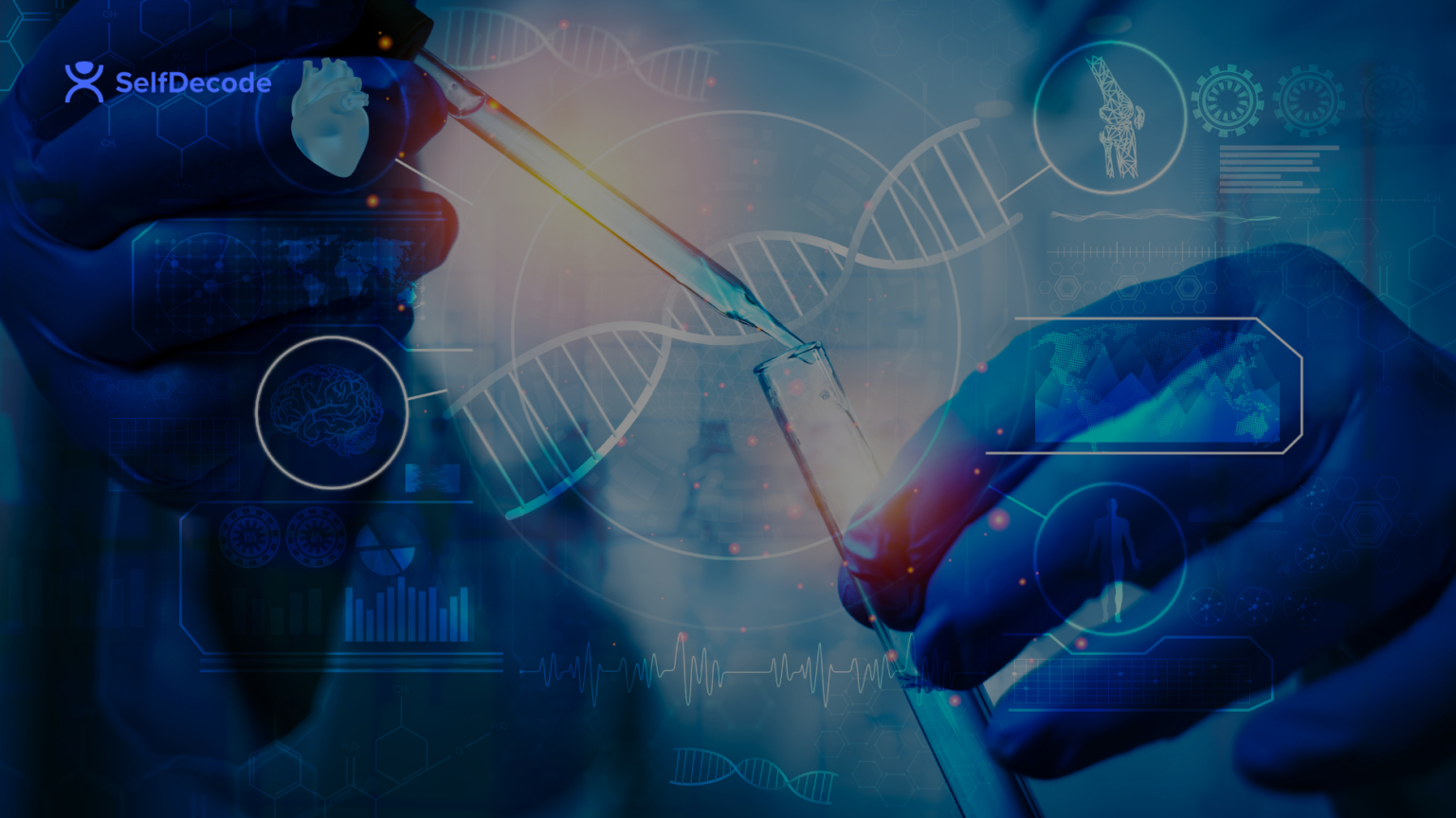 MTHFR Gene Mutation Test Cost & Insurance Guide | Self Decode